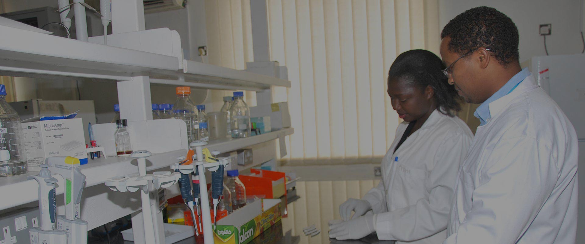 Molecular Biology Techniques And Bioinformatics Trainings