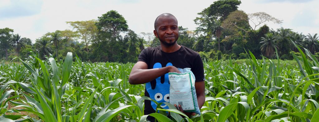 Aflatoxin Control