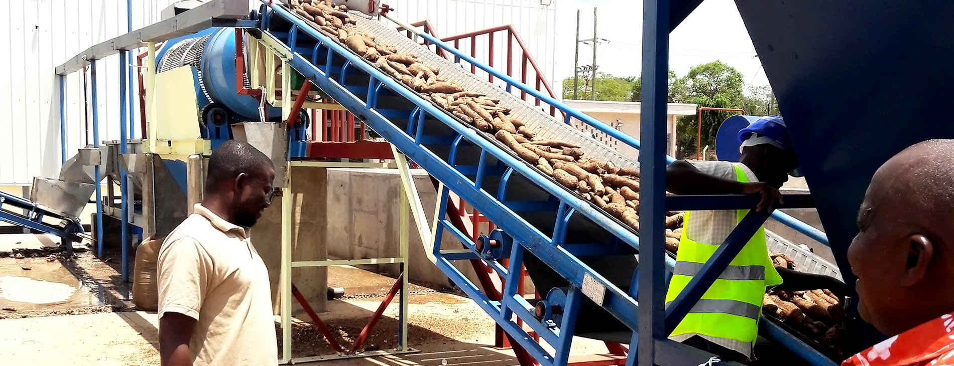 Cassava Farmers In Tanzania To Benefit From New Industry Partnership