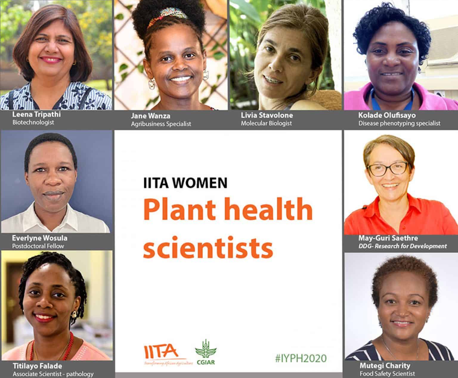 Meet Cgiar Iitas Women Fighting Plant Pests And Diseases