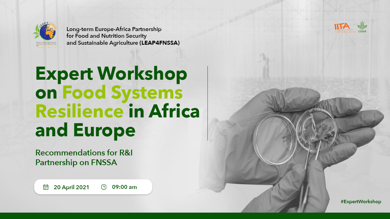 Expert Workshop on Food Systems Resilience for Europe and Africa