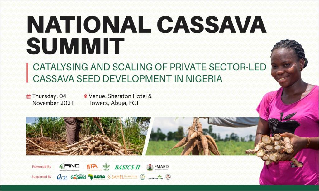 National Cassava Summit Iita