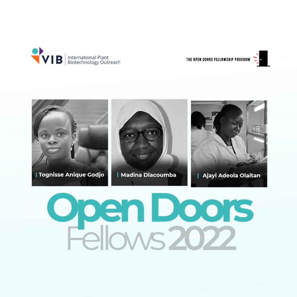 VIB-IPBO announces recipients for the Open Doors Fellowship Program 2022-2024 Cohort