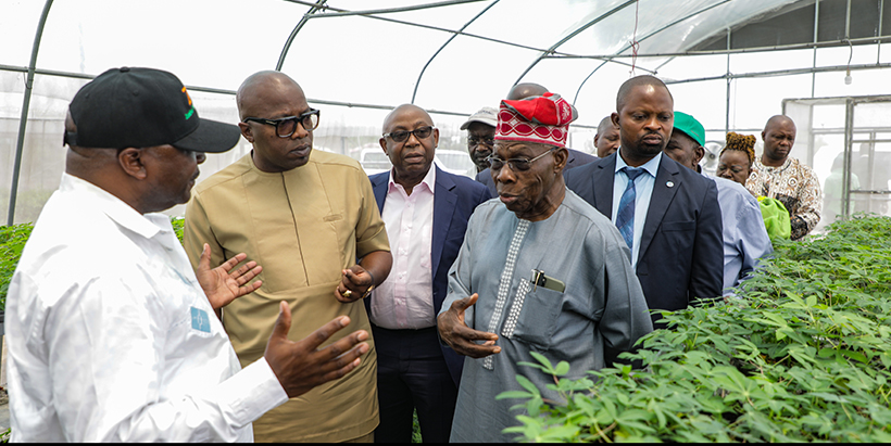 IITA Goodwill Ambassador Olusegun Obasanjo discusses agricultural ... IITA Goodwill Ambassador Olusegun Obasanjo discusses agricultural ...
