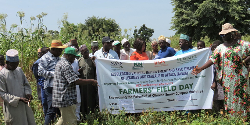 AVISA project showcases improved crop varieties at Farmers’ Field Day