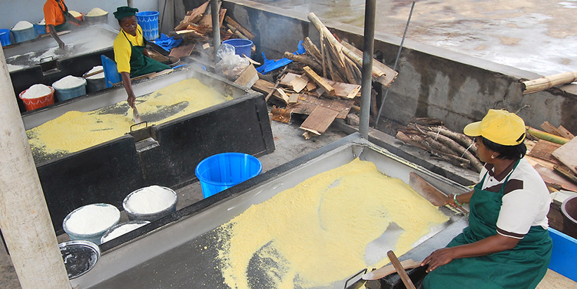 Women-frying-gari-at-IITA-Cassava-processing-center