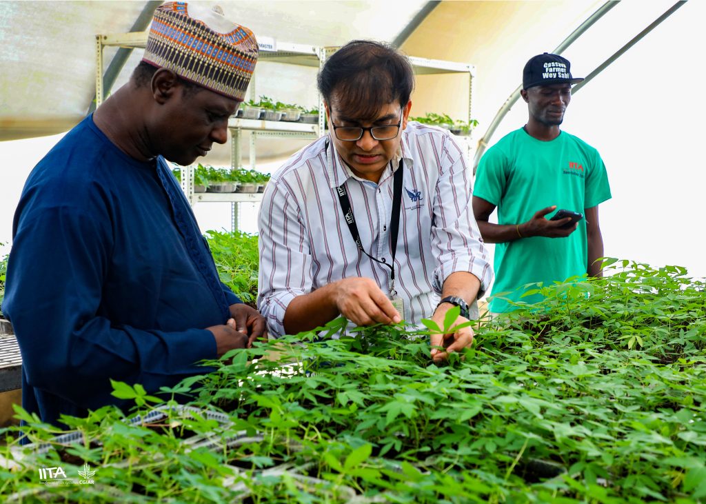 NASC seeks to reinforce collaborative efforts with IITA