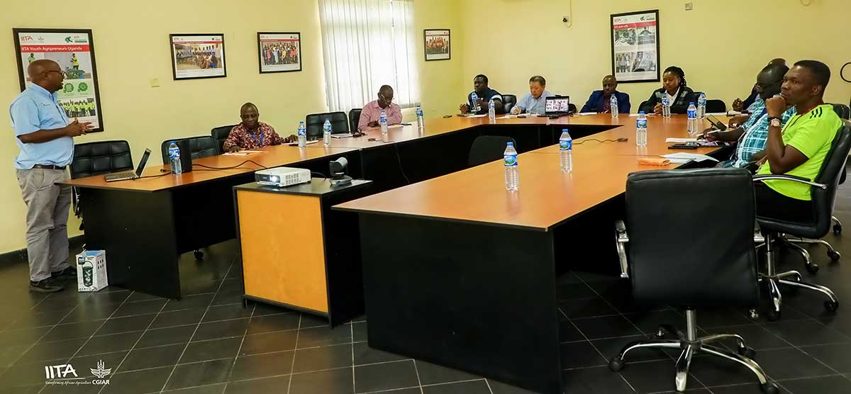 Cassava Archives | IITA