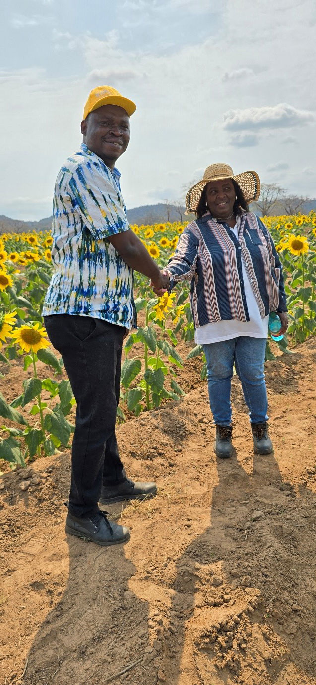 Dr-Samuel-Mesele-with-the-Head-of-Mazozo-Experimental-Station-on-a-sunflower-experimental-field