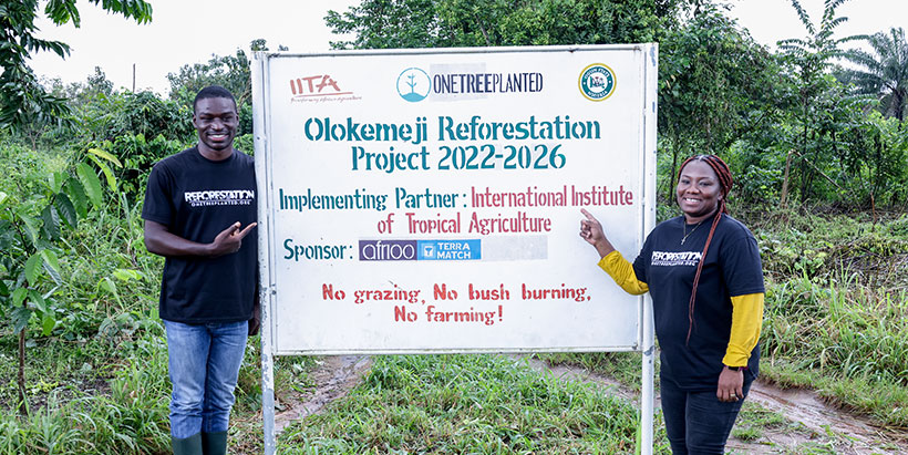 IITA-Forest-Center-at-Olokemeji.