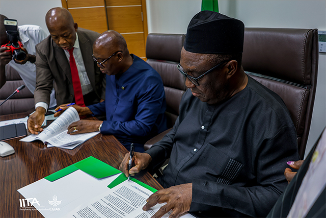 IITA and AfDB strengthen partnership to scale agricultural innovations in Africa