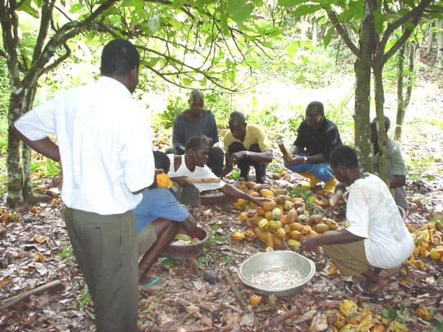 New project launched to address impacts of climate change and ...