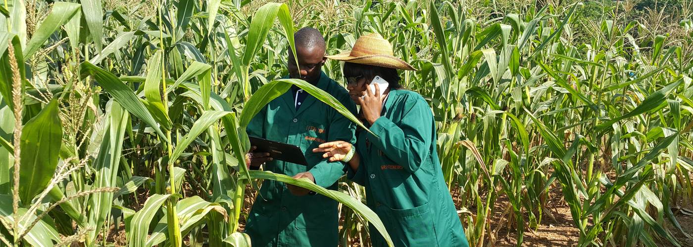 Agripreneurs in Africa gather for first-ever youth agribusiness forum