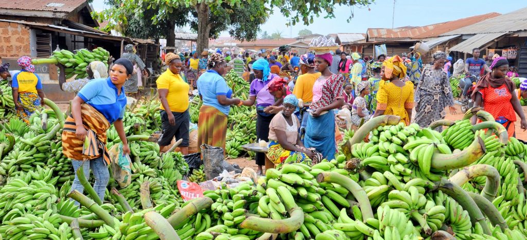 A banana market in Ilesa, Nigeria