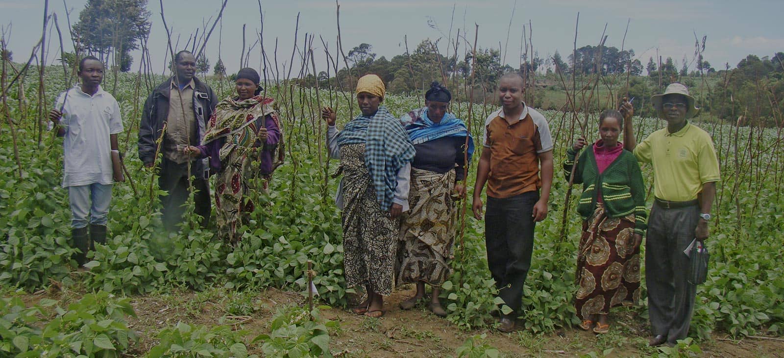 IITA reaffirms its commitment to transforming Africa’s agriculture