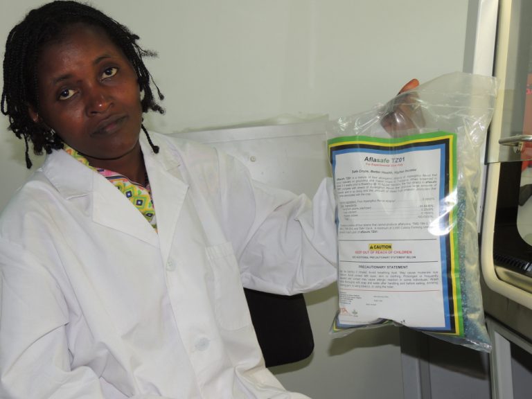 EAC policymakers trained on aflatoxins