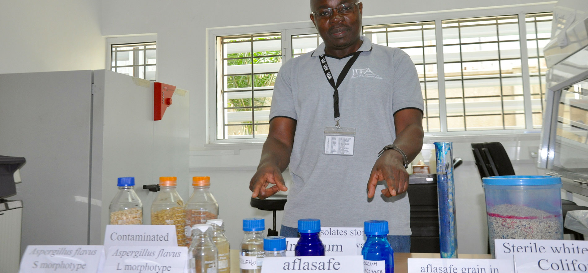 Tanzania registers AflasafeTZ—the effective technology to combat aflatoxin