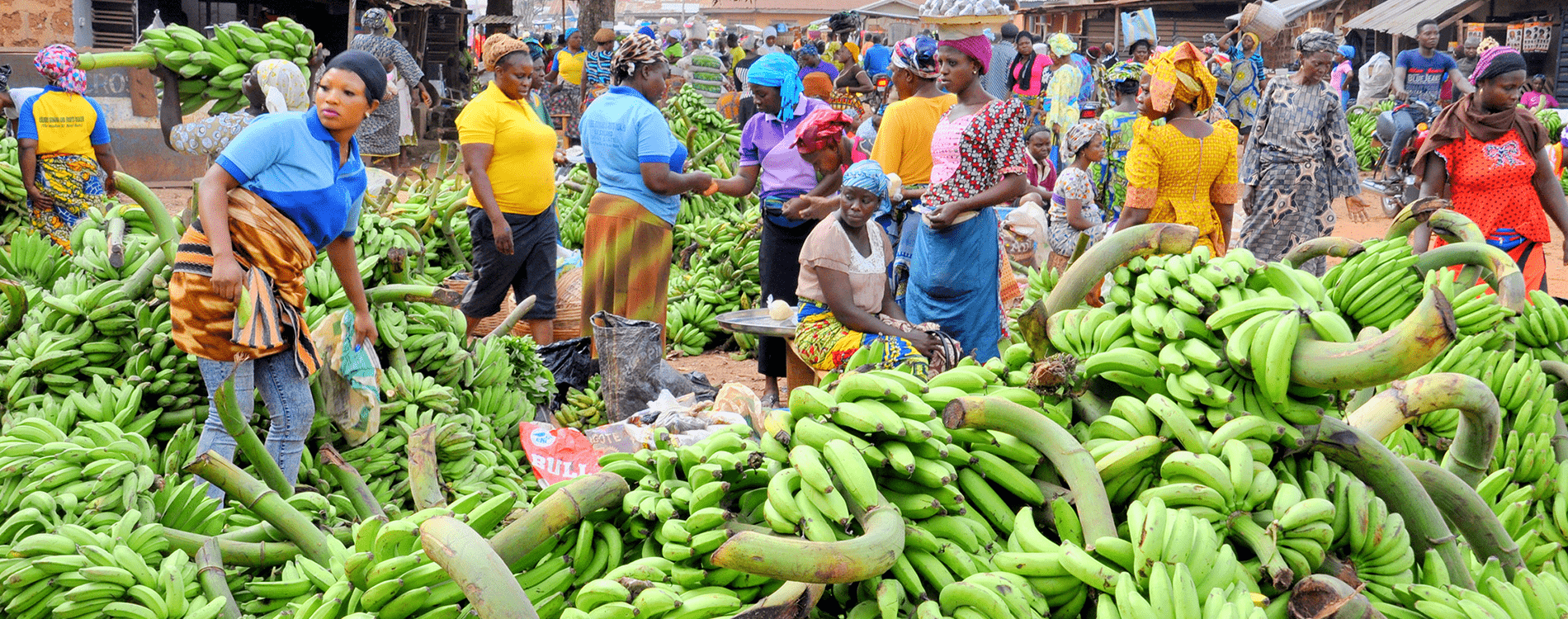 The rural woman - a powerful force that can drive global progress