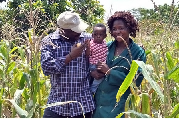 Nteranya-Sanginga-in-the-field