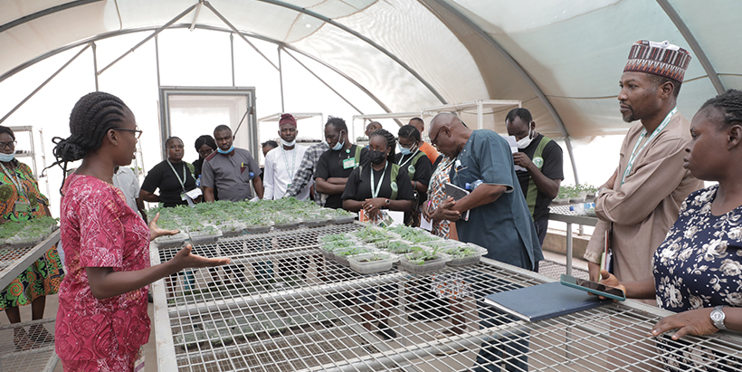 NIHORT to increase partnership scope with IITA