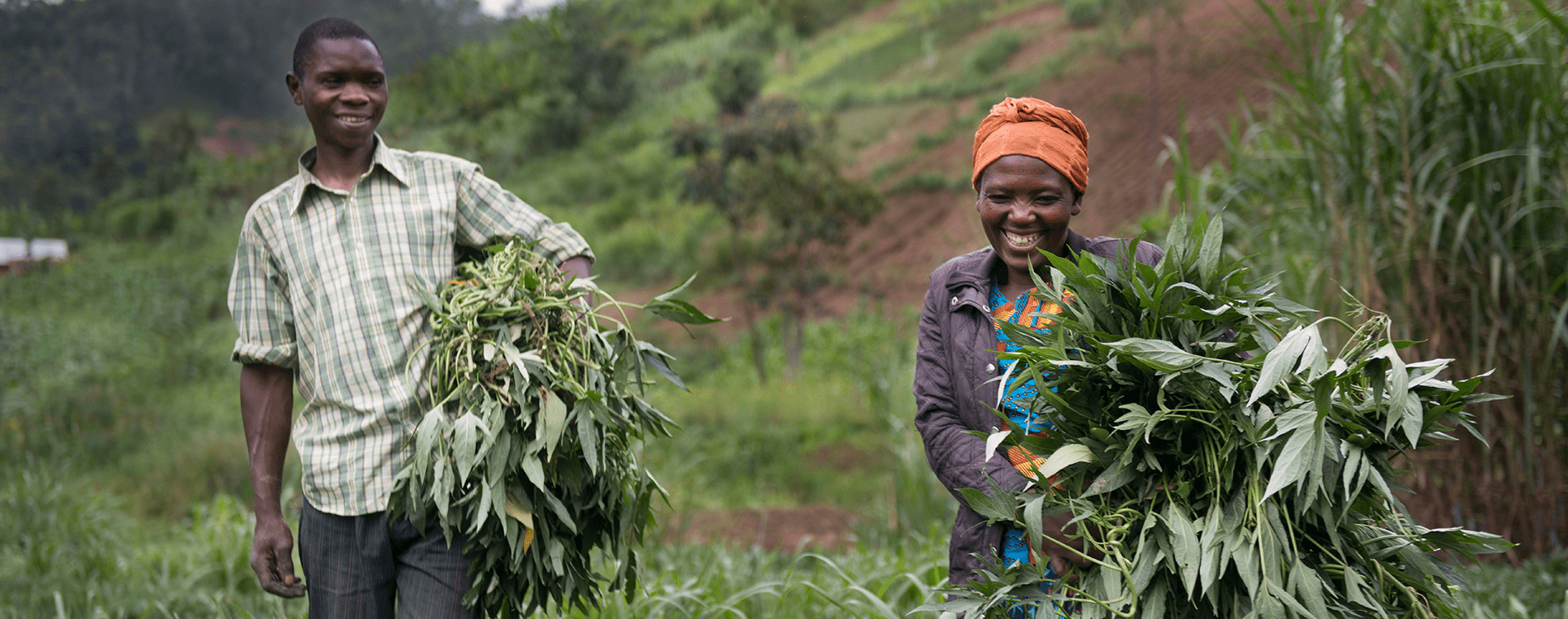 Gender research activities in IITA contribute to African rural development