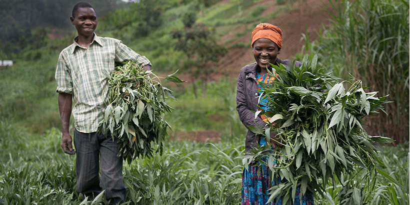 Gender research activities in IITA contribute to African rural development