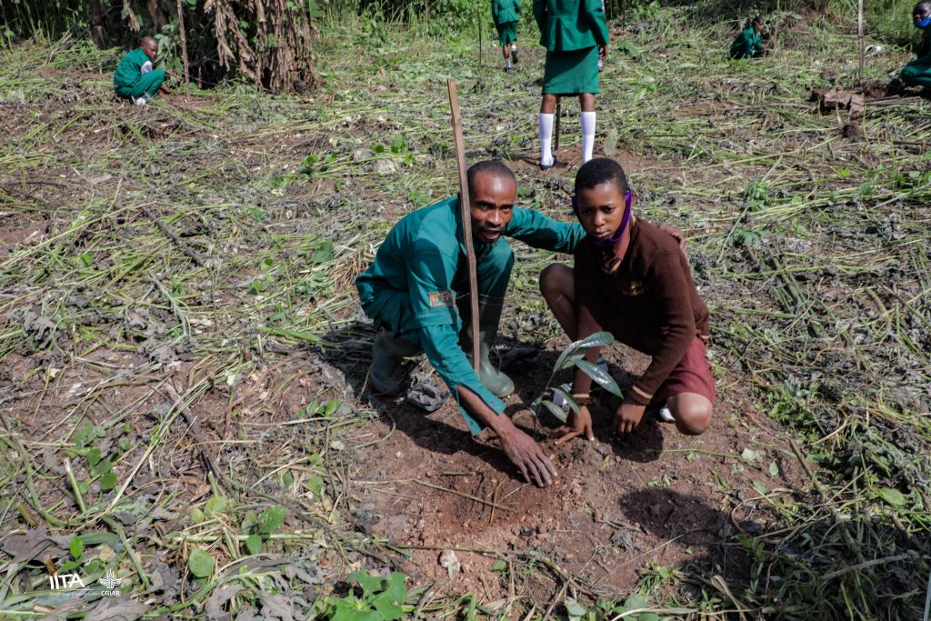 Nigerian Conservation Foundation donates seedlings to reforest burnt ...