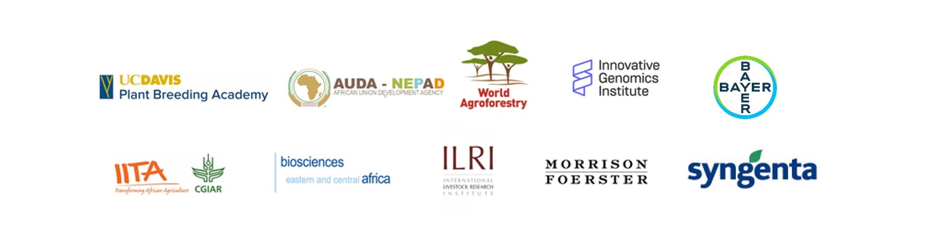 IITA partners to deliver a new training course in gene editing for ...