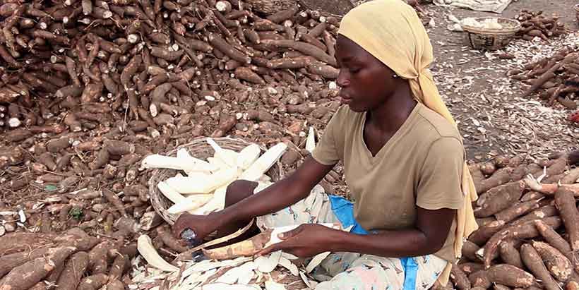 RUNRES supports circular economy entrepreneur turning cassava waste ...