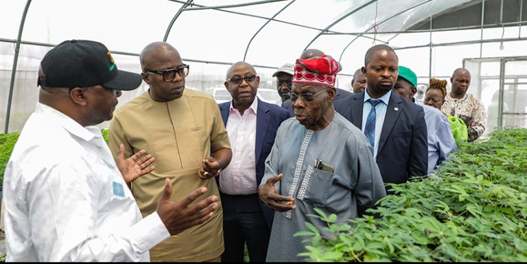 ATA-DRC creating wealth and food security in DRC—Obasanjo