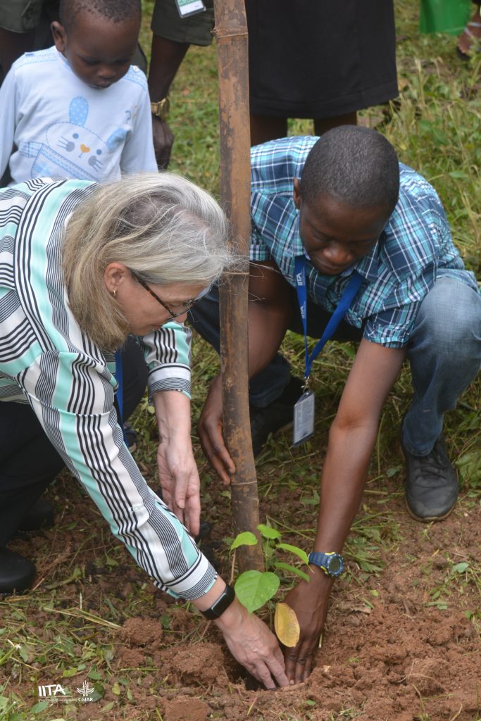 IITA Forest Center expands its species conservation bank