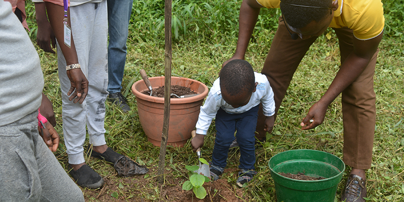 IITA Forest Center expands its species conservation bank