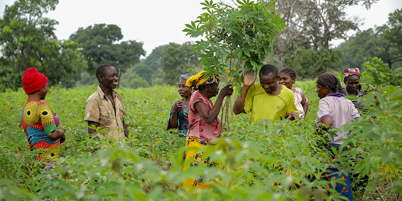 Positive feedback as IITA-led Zero Hunger Project team visit ...