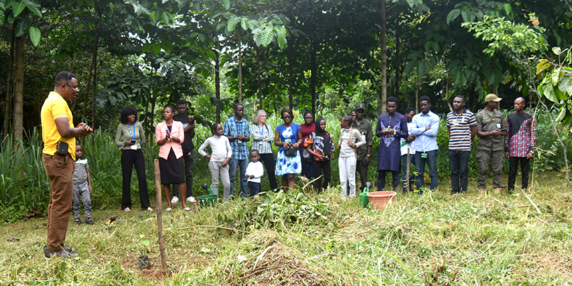 IITA Forest Center expands its species conservation bank