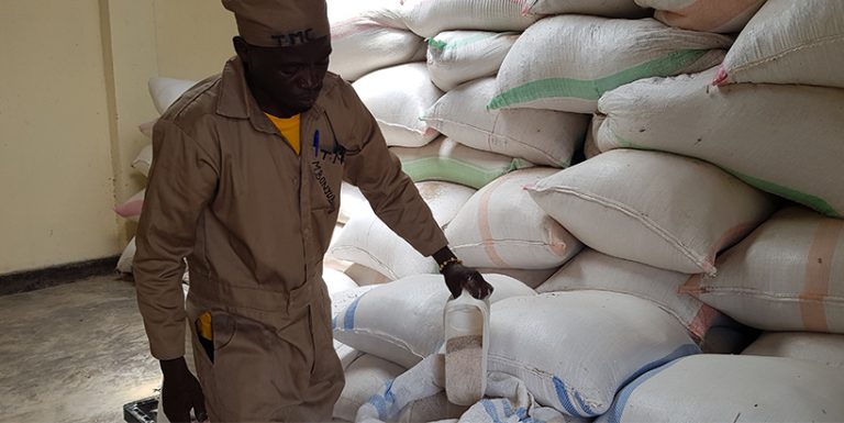 IITA’s research intervention transforming Rwandan agriculture