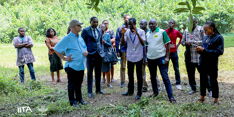 IITA to partner with NIHORT to improve livelihoods through horticulture