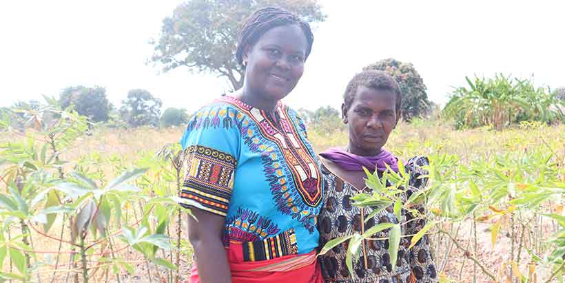 IITA celebrates rural women’s contribution to cassava seed system in ...