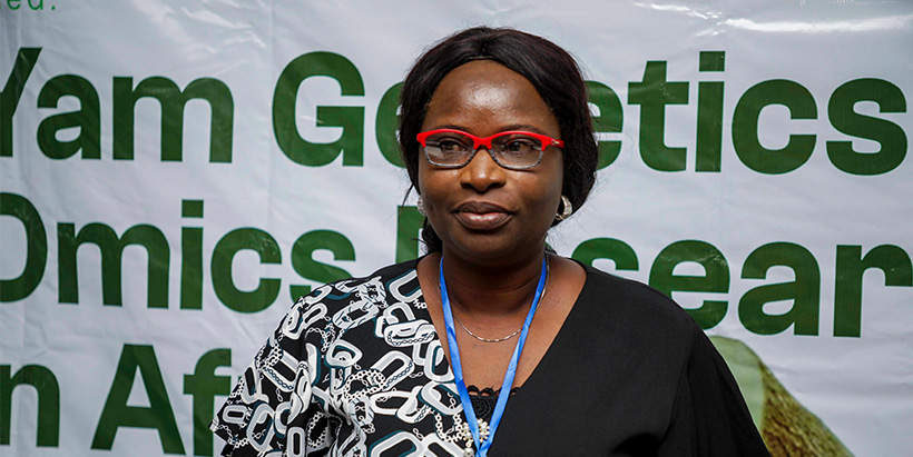 Scientists to upscale research on yam discovery and conservation