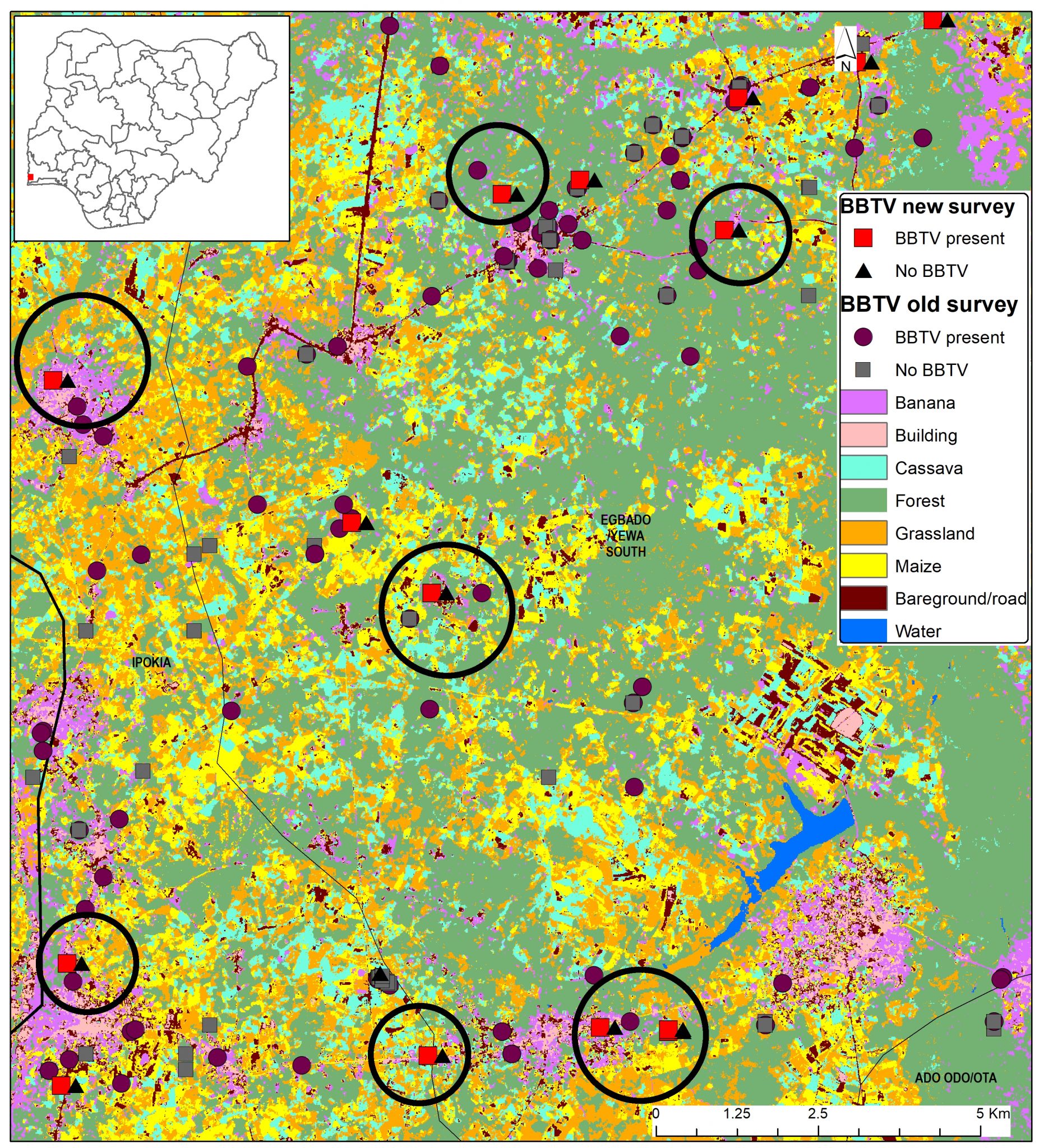 Remote-sensing models to enhance Banana bunchy top virus (BBTV ...