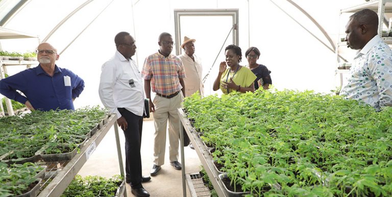 Incoming Director General inspired after first visit to IITA headquarters