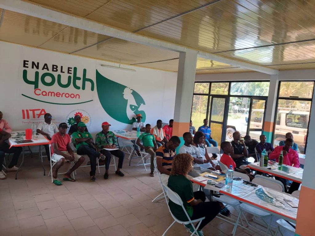 Aspiring agripreneurs progressing under ENABLE Youth Cameroon