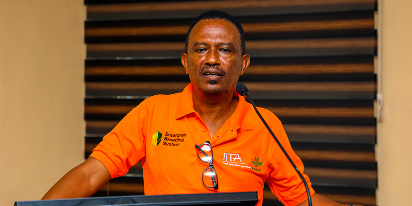 IITA advances innovation in the EBS Maize Breeding Program to enhance ...