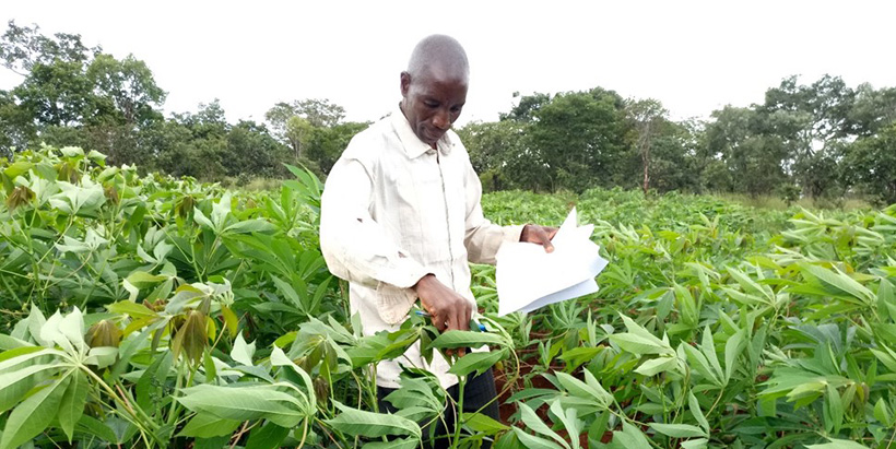 Research: Achieving a socially inclusive and sustainable commercialized ...