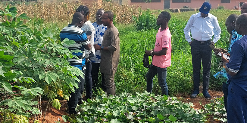 Zero Hunger Project trains stakeholders in Togo on financial management ...