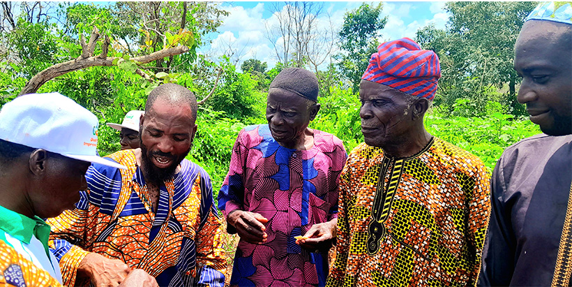 PROSSIVA takes field trials to rural areas in Nigeria