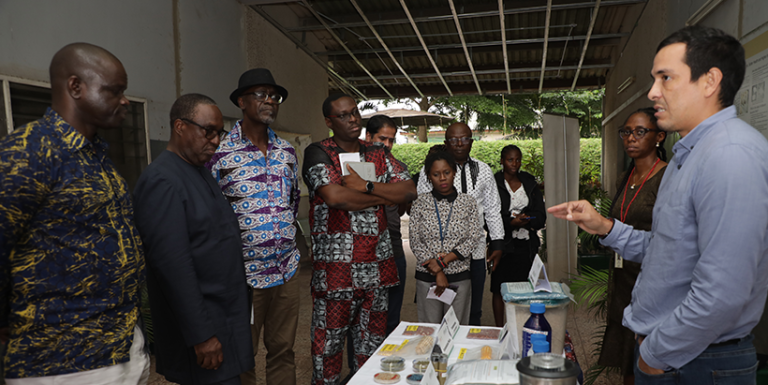 CGIAR’s Africa-based leaders meet in Ibadan, Nigeria, to discuss ...