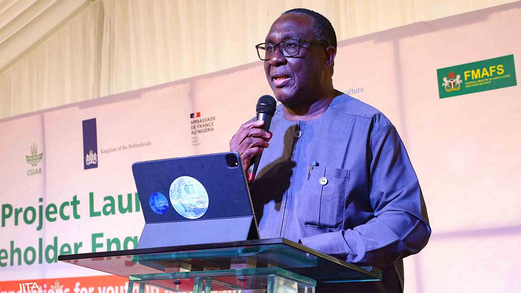 Scaling innovations towards transforming food systems in Africa