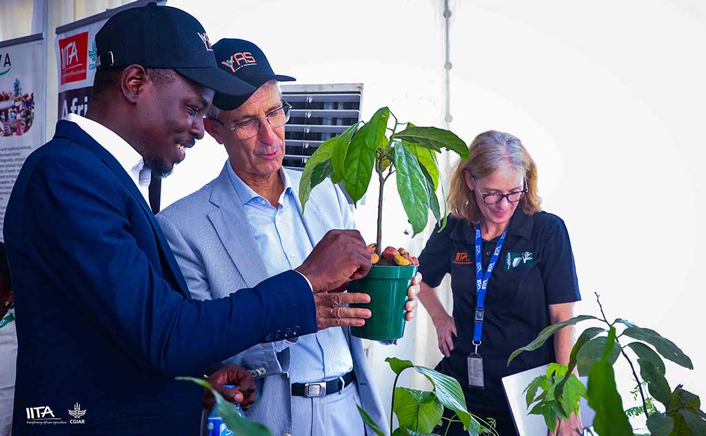 Scaling innovations towards transforming food systems in Africa