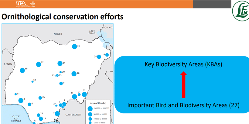 Monitoring the bird species of southwest Nigeria