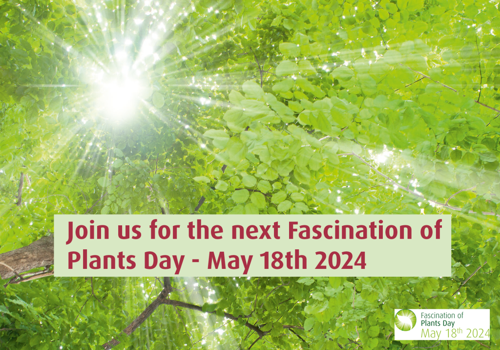 International “Fascination of Plants Day”– a global celebration of ...